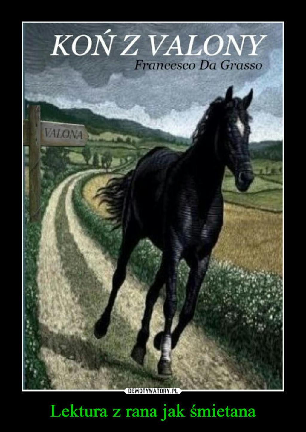 Jordan 4 Military Black – Nexada