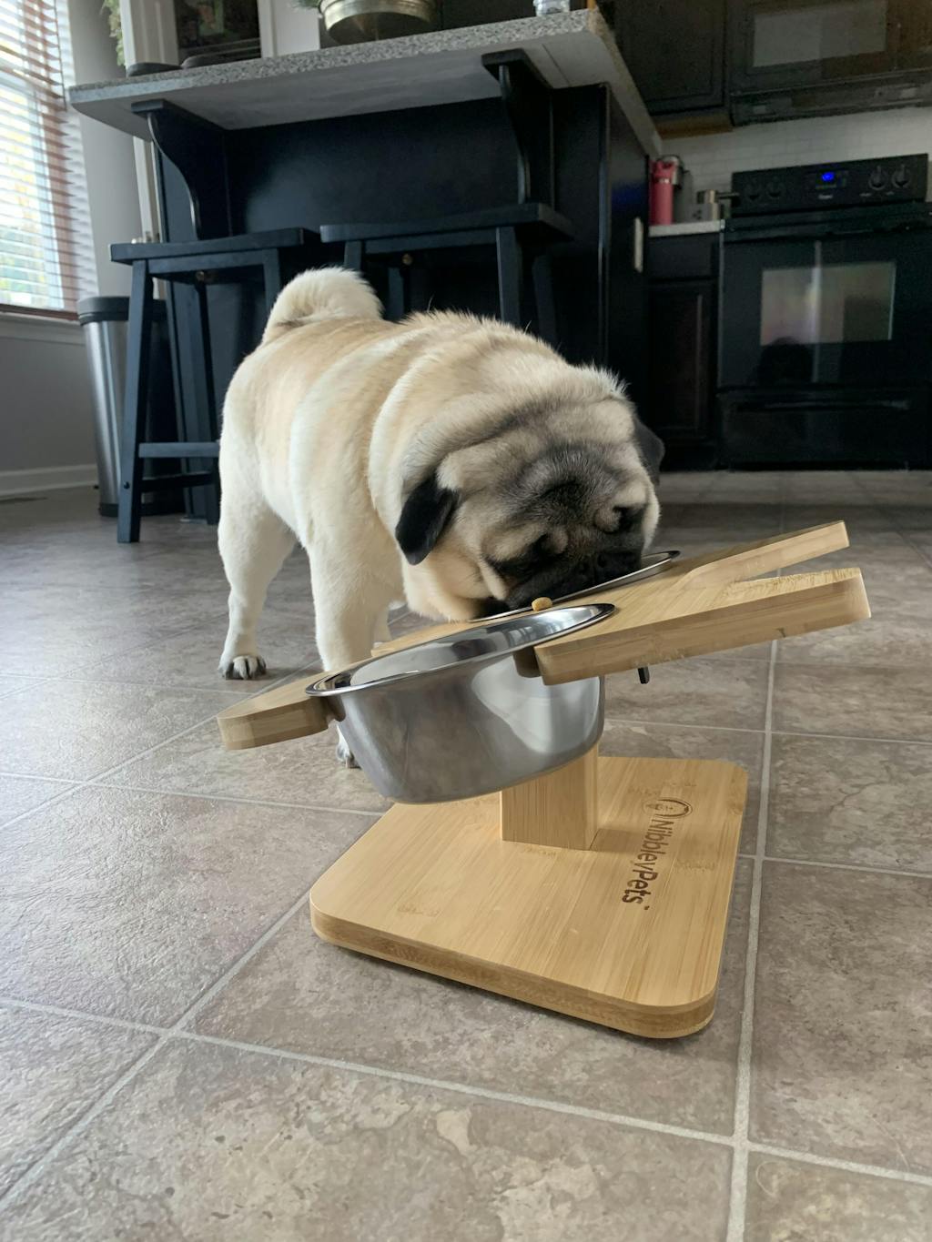 NibbleyPets Elevated Dog Feeder