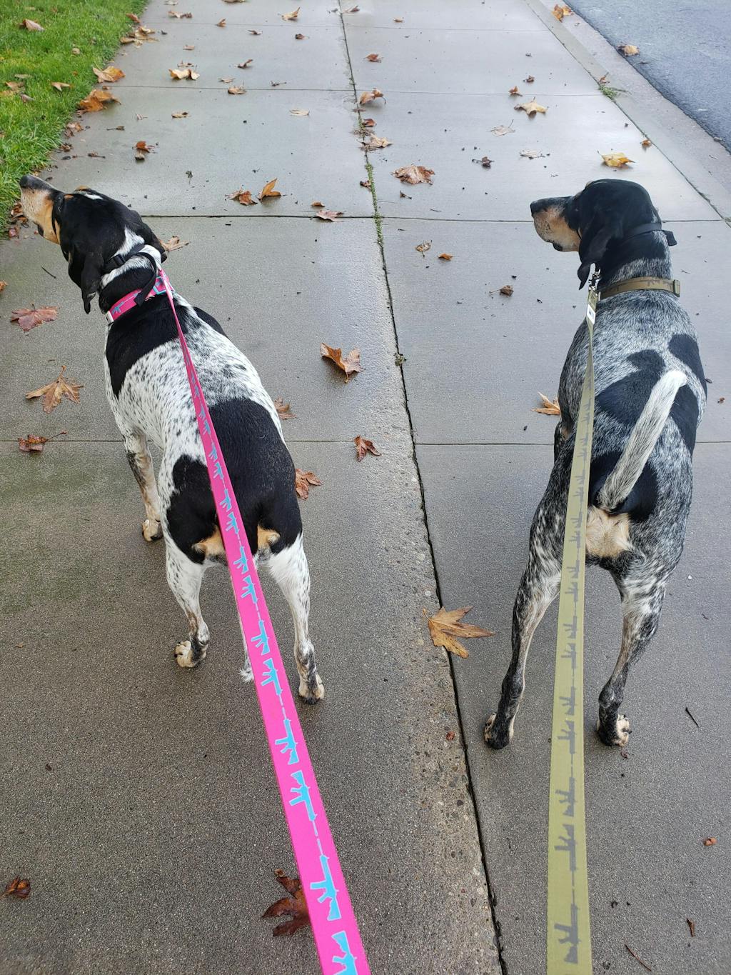 Pet Accessories - Dog Collar - AR 15 – Nine Line Apparel