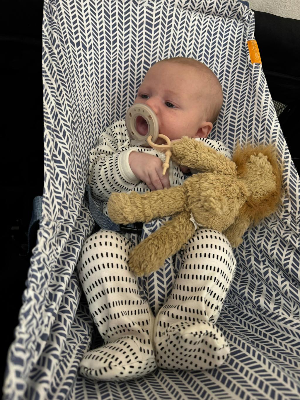 Ninni Pacifier- Blueberry 4 Pack Pacifier Like a Breast – Ninni Co