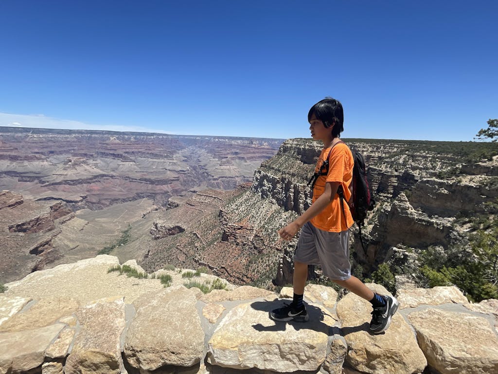 Cabbunk Camper Van Hammock Bunk Bed System for Kids (Single)