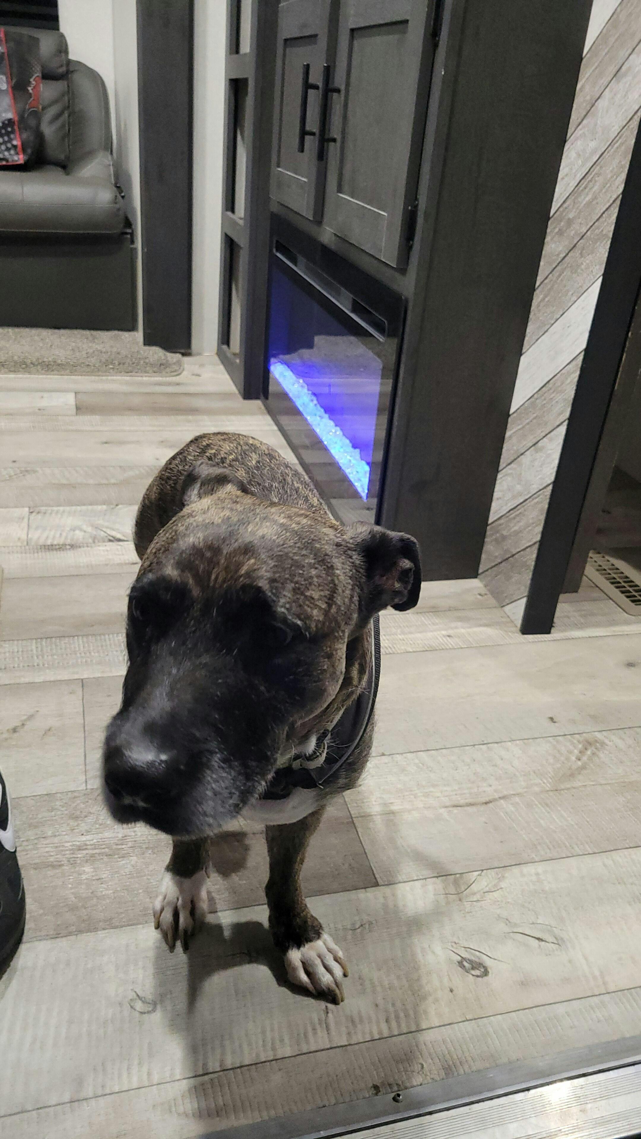 Furrion Greystone 36" Built-In Electric LED RV Fireplace (Crystal Base ...