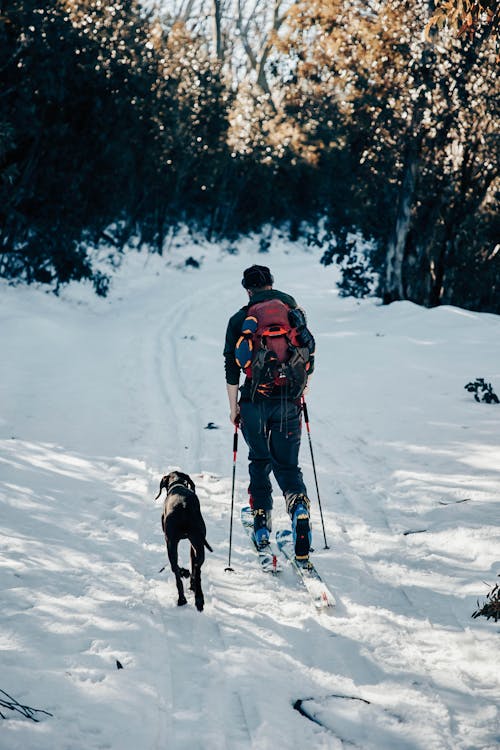 NordStudios™ Lightroom Presets | Mobile & Desktop – Nord Studios