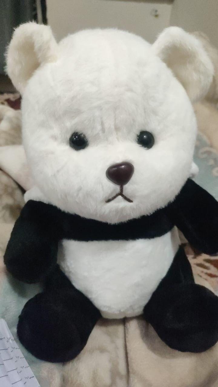 Panda Hood Plush Toy – Norfae toymi