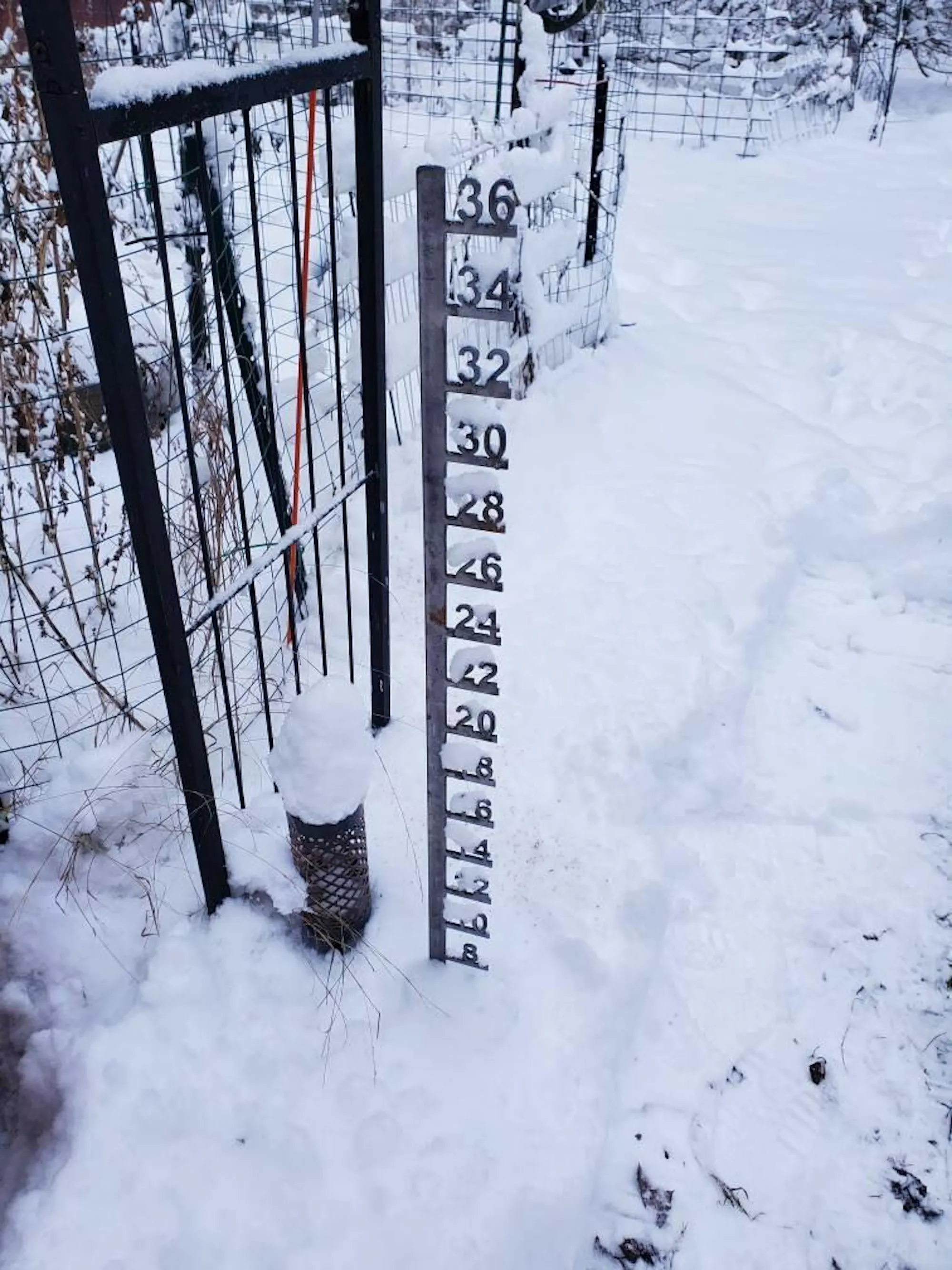 3-Pack Standing Steel Pine Trees – Northern Forge, LLC
