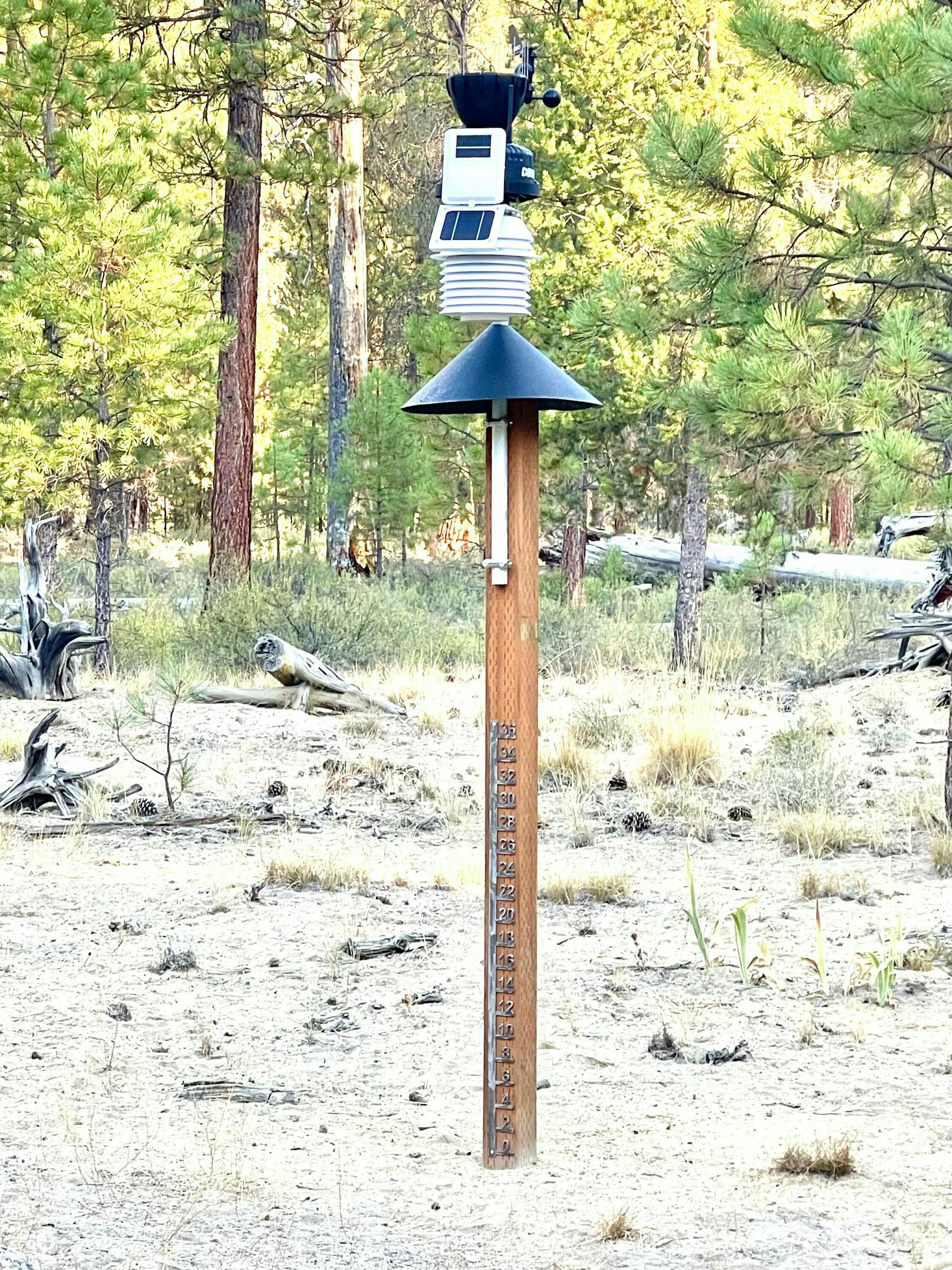 3-Pack Standing Steel Pine Trees – Northern Forge, LLC