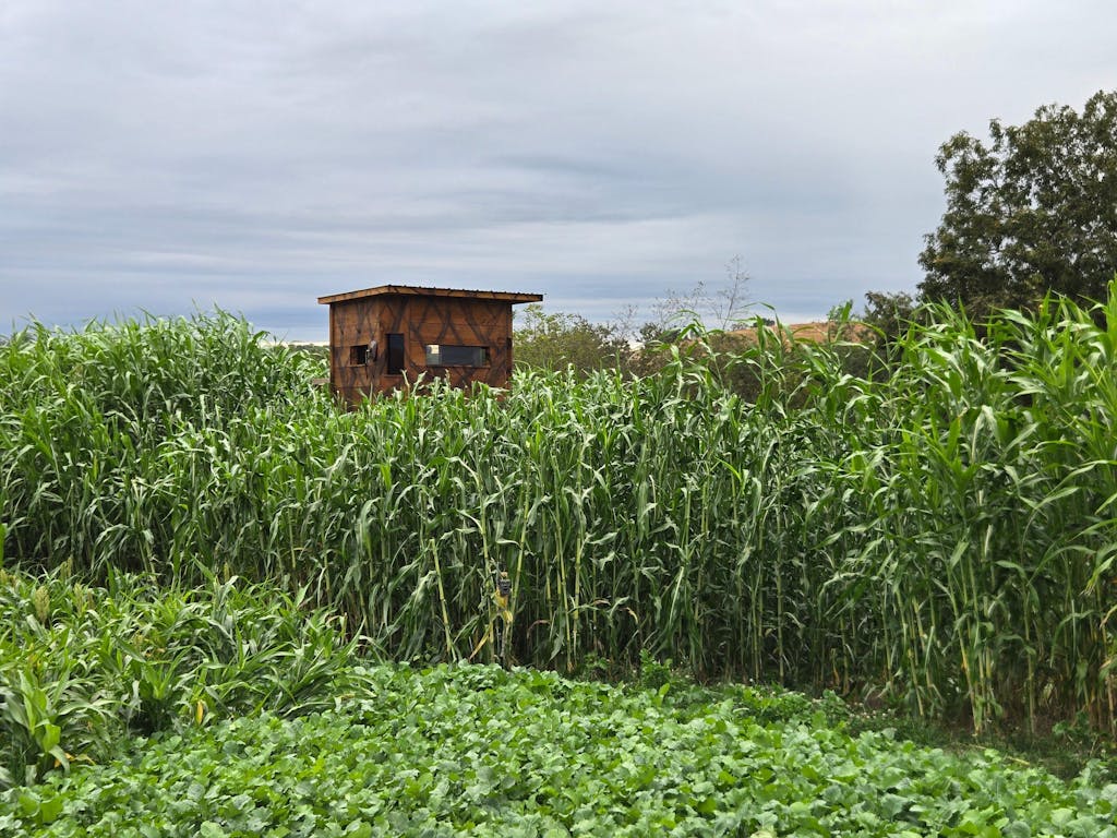 HEAVY DUTY FOOD PLOT SCREEN- 4 pound bag – Northwoods Whitetails Food ...