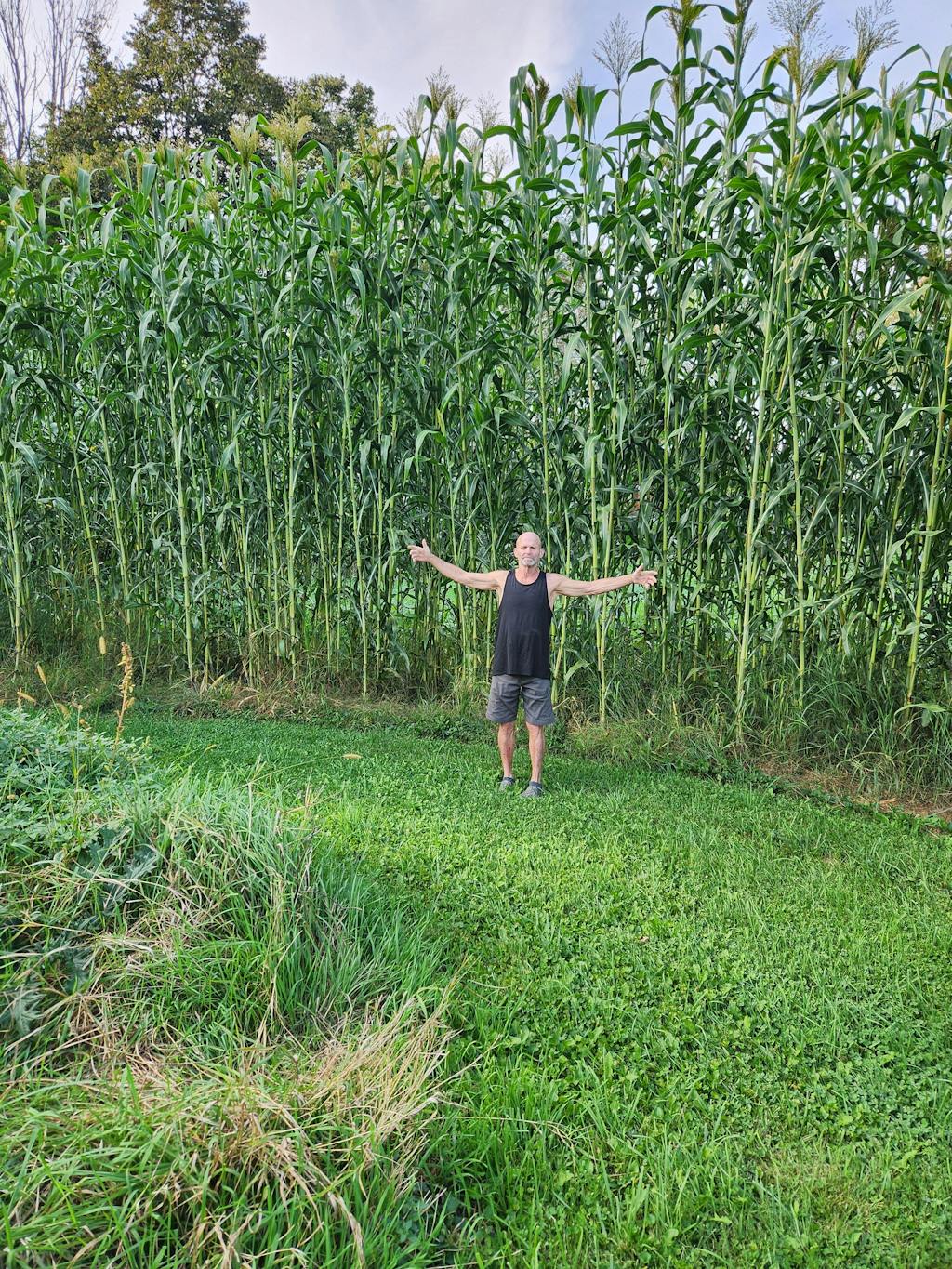 HEAVY DUTY FOOD PLOT SCREEN- 4 pound bag – Northwoods Whitetails Food ...