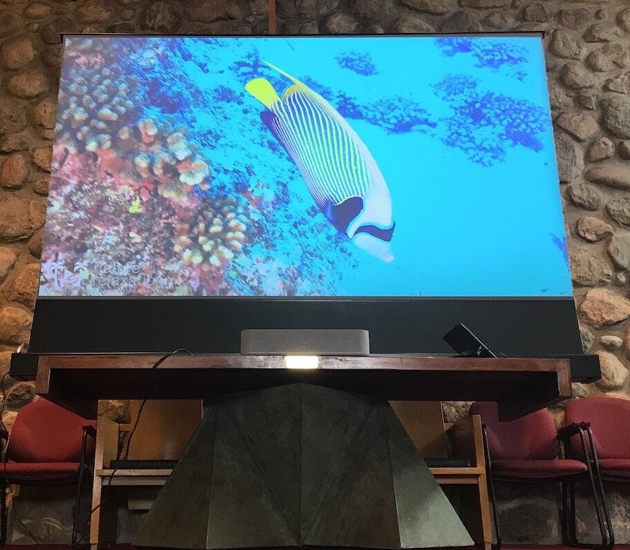 NothingProjector Black Series Motorized Floor Rising Screen For Ultra ...