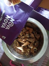 Cookie Coins – Nova Nova