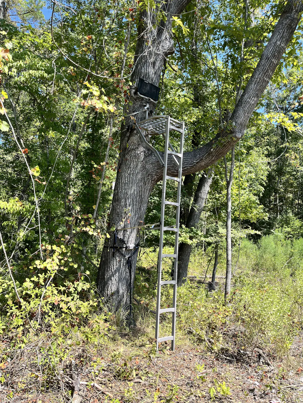 Raider Ladder Stand – Novix Outdoors