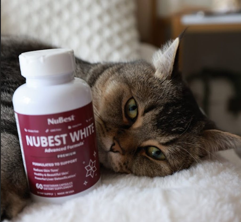 NuBest White, Skin Brightening Formula, 60 Vegan Capsules – Nubest.com ...