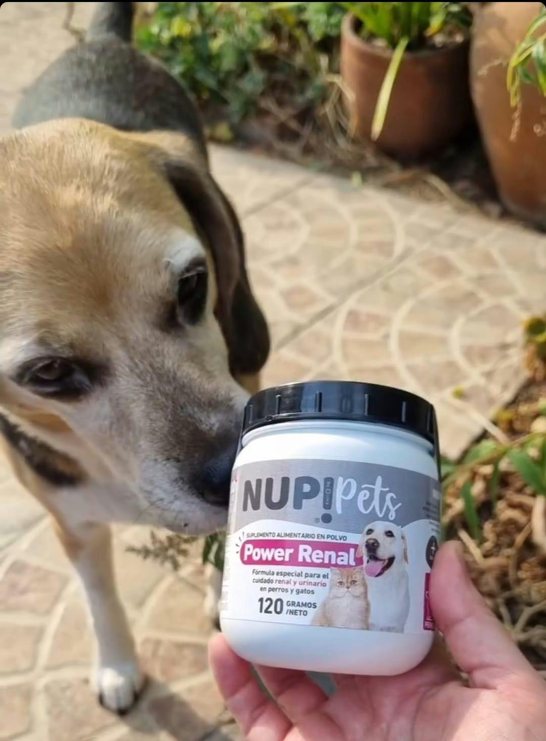 NUP!PETS POWER RENAL CUIDADO RENAL Y URINARIO PARA PERROS Y GATOS – NUP!®