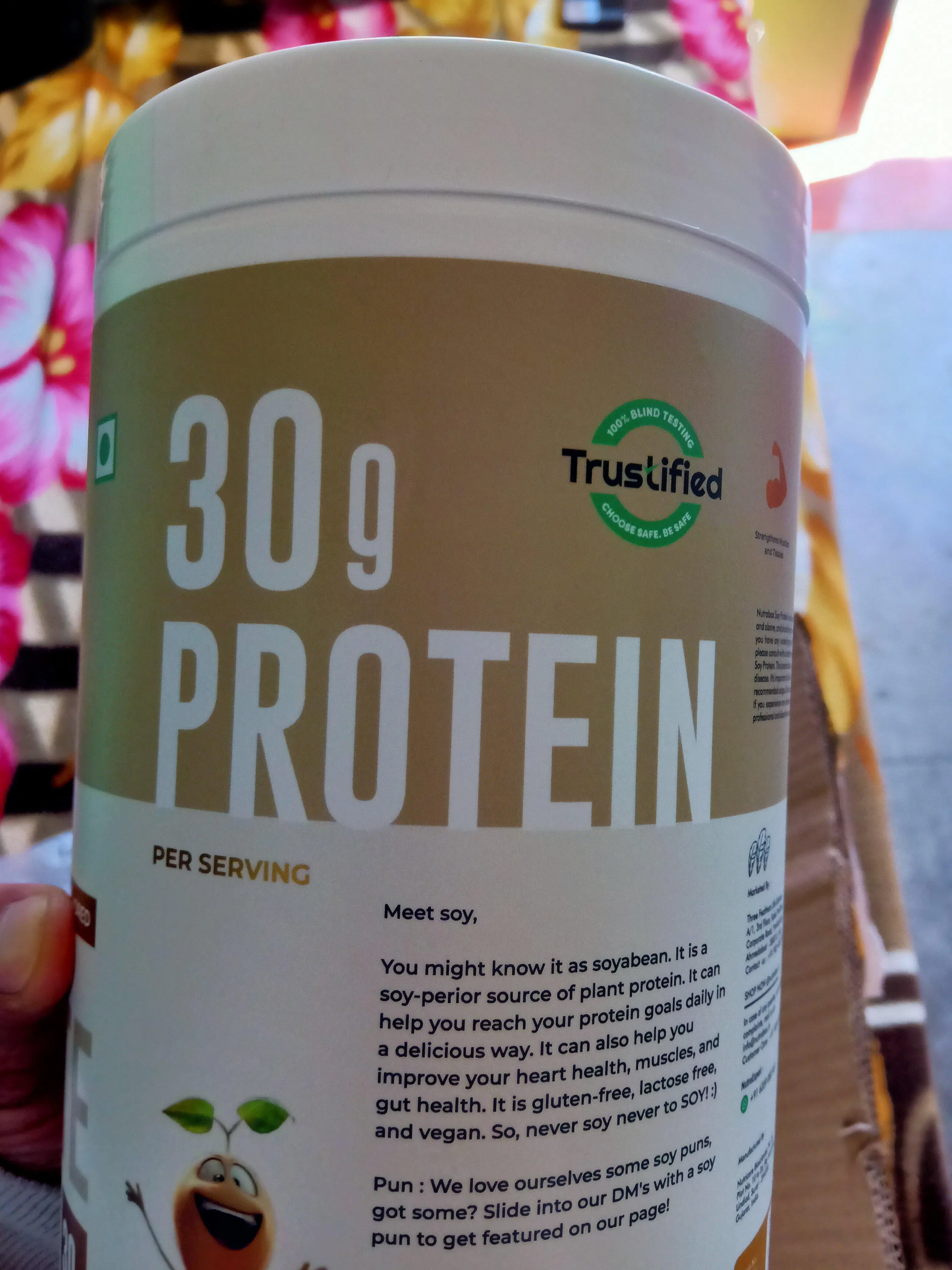 Soy Protein Isolate – Nutrabox India