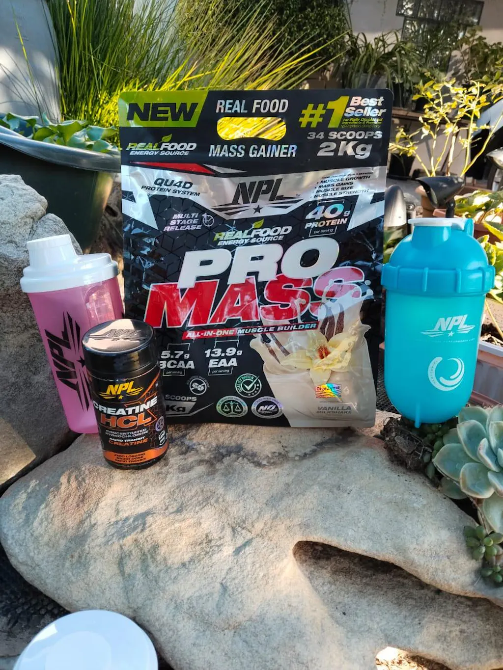 Pro Mass - Nutritional Performance Labs