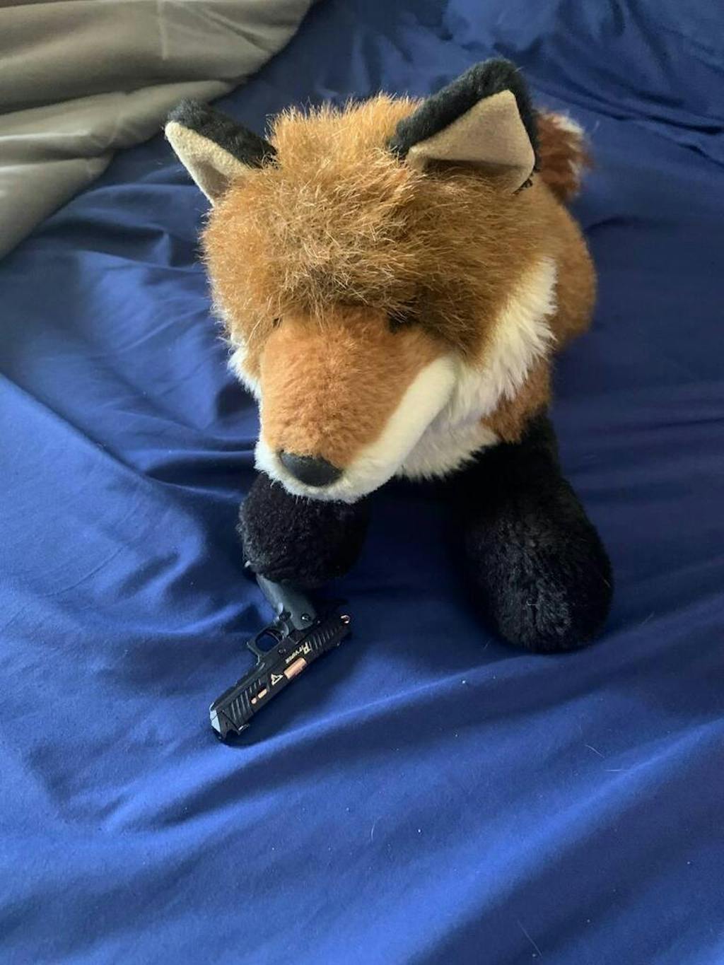 Reviews – NxModels