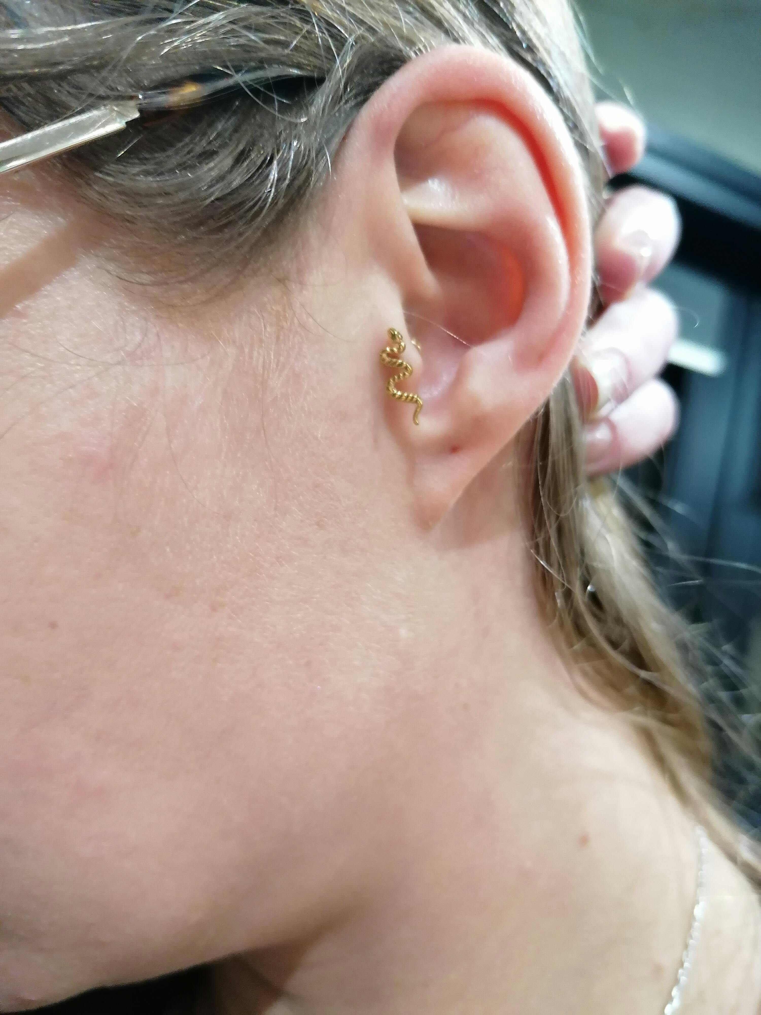 SERPENT - Piercing Titane - Obsidian Piercing