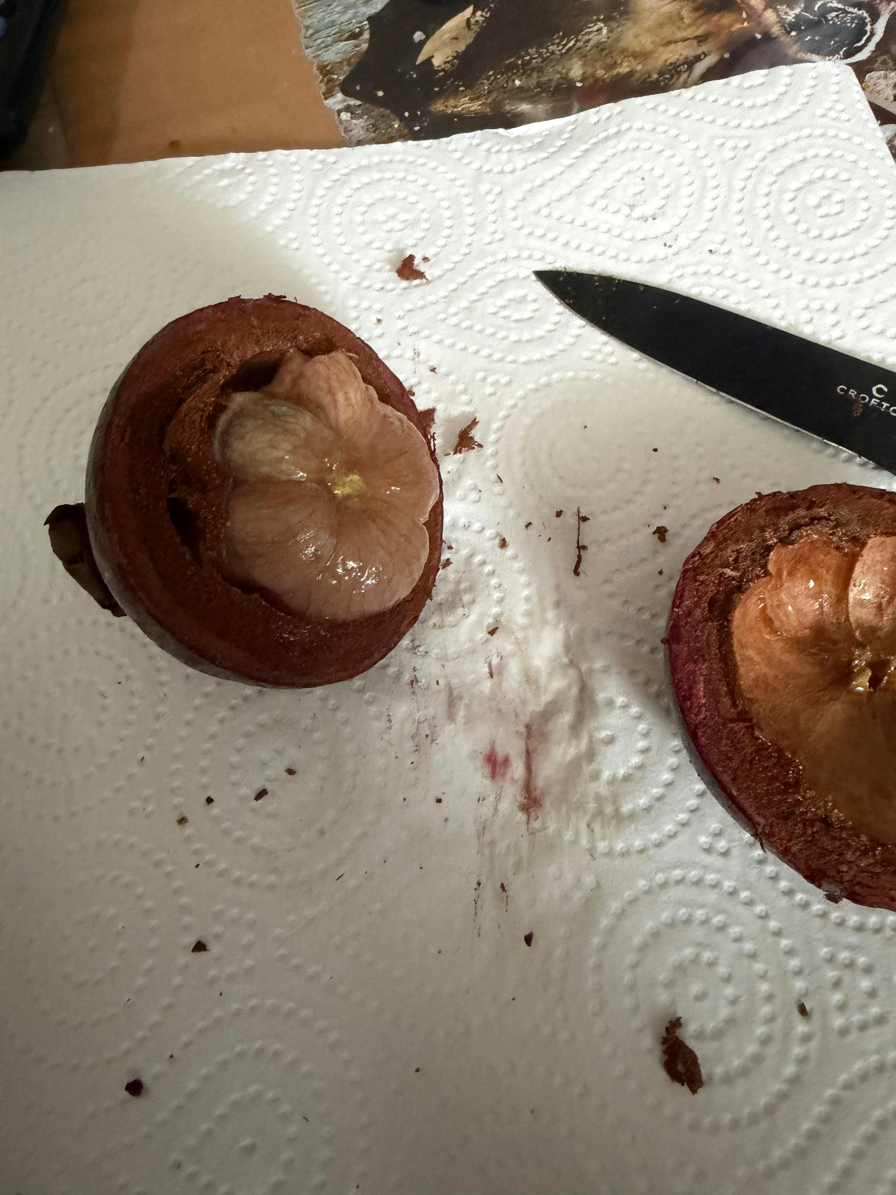 Die Ugli-Frucht - das ungewöhnliche Zitrusabenteuer | Obstwelt