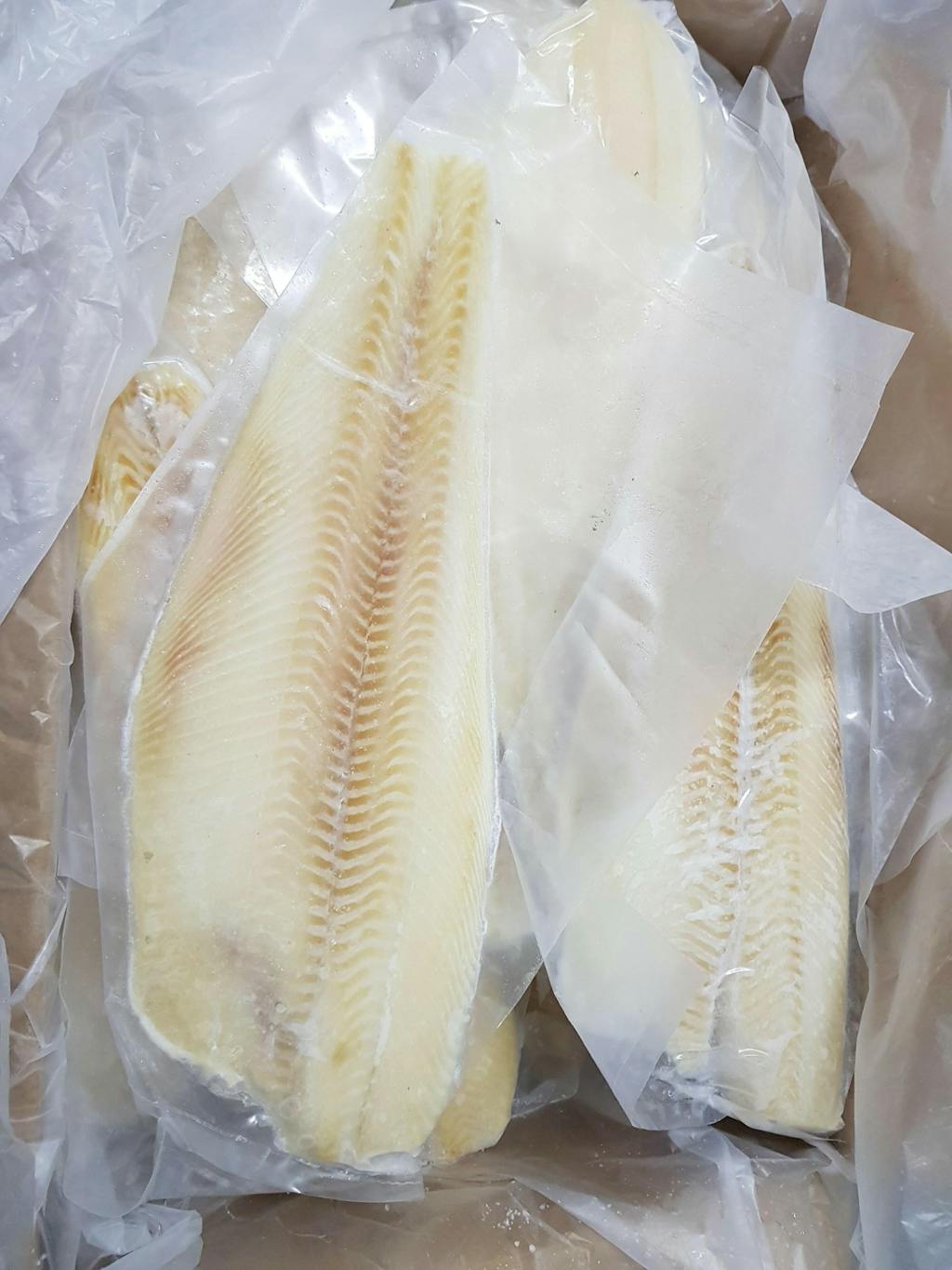 Frozen Greenland Halibut Fillet Skinless Singapore | Oceanwaves SG