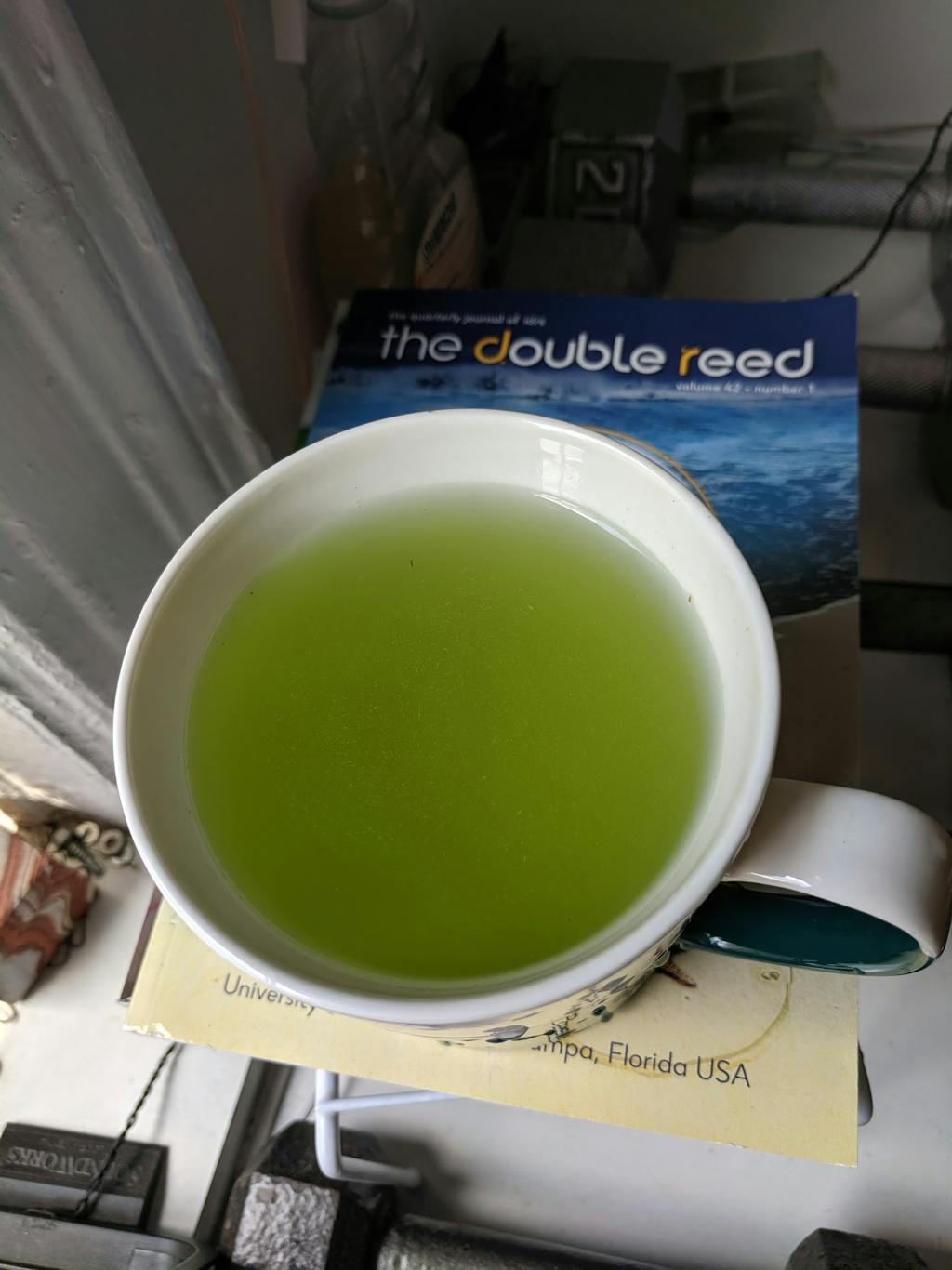 Japanese Organic Cold Brew Green Tea