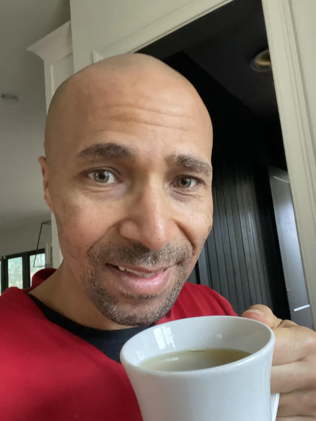 Japanese Organic Sencha Green Tea – Ocha & Co.