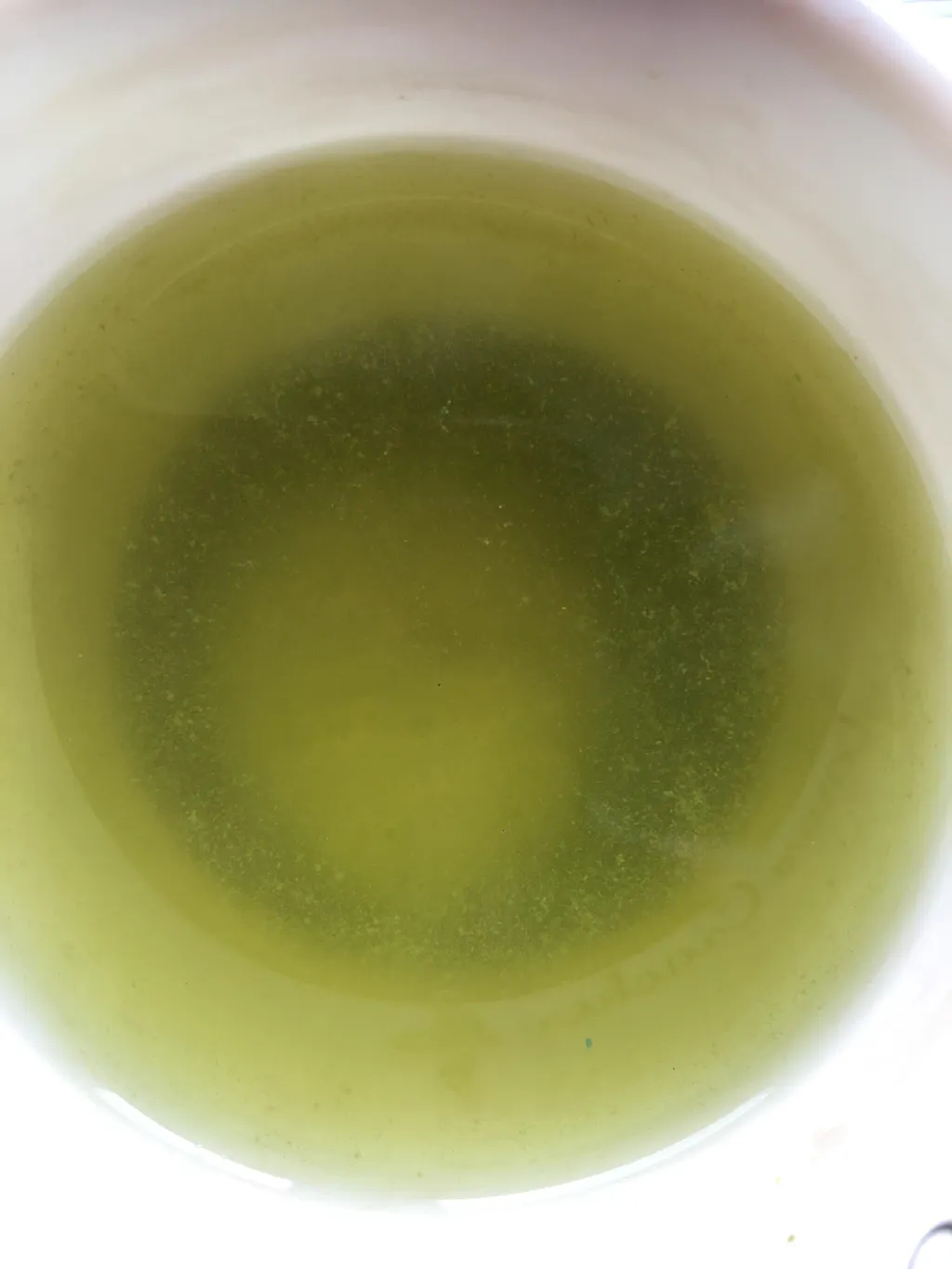 Japanese Organic Fukamushi Sencha Green Tea – Ocha & Co.