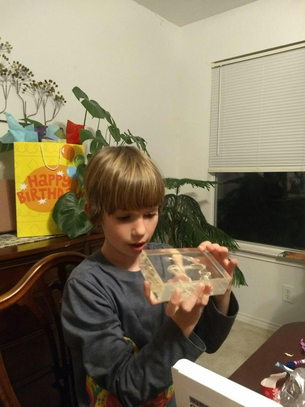 Large Bullfrog Skeleton in Resin, Frog Skeleton, Oddities Curiosities ...