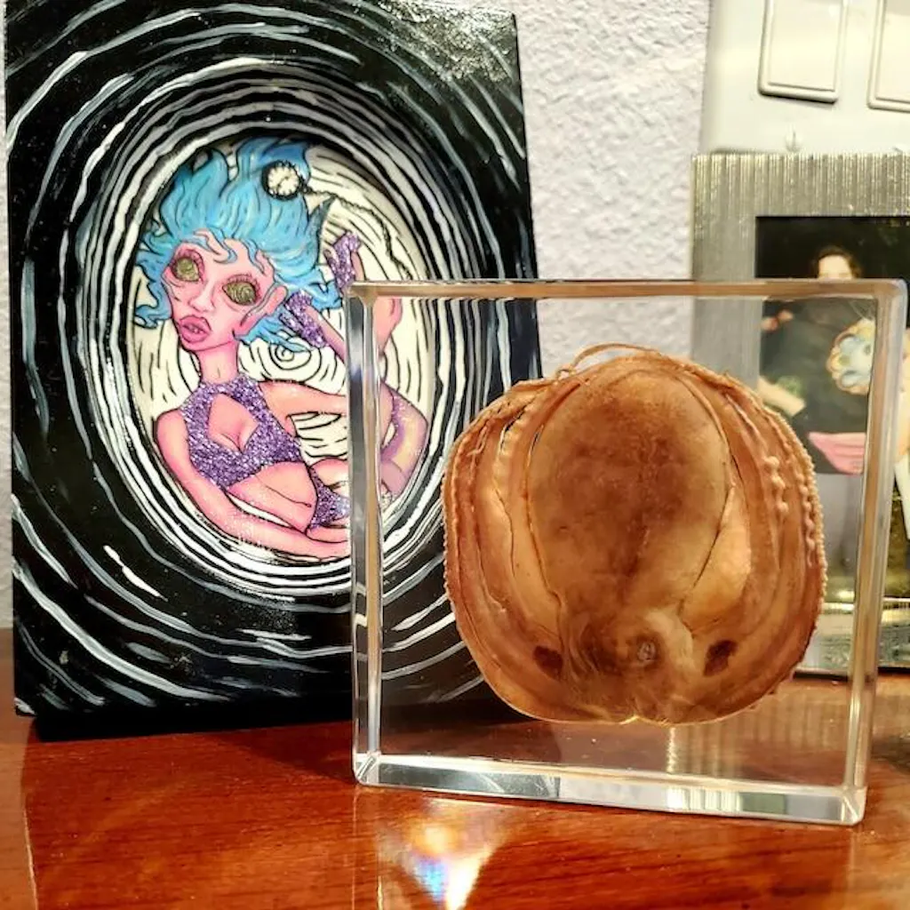 Large Octopus in Resin, Real Octopus in Lucite, Oddities, Curiosities ...
