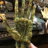 Alchemy Palmistry Hand, Alchemy Hand, Mummy Palmistry - Oddities For ...