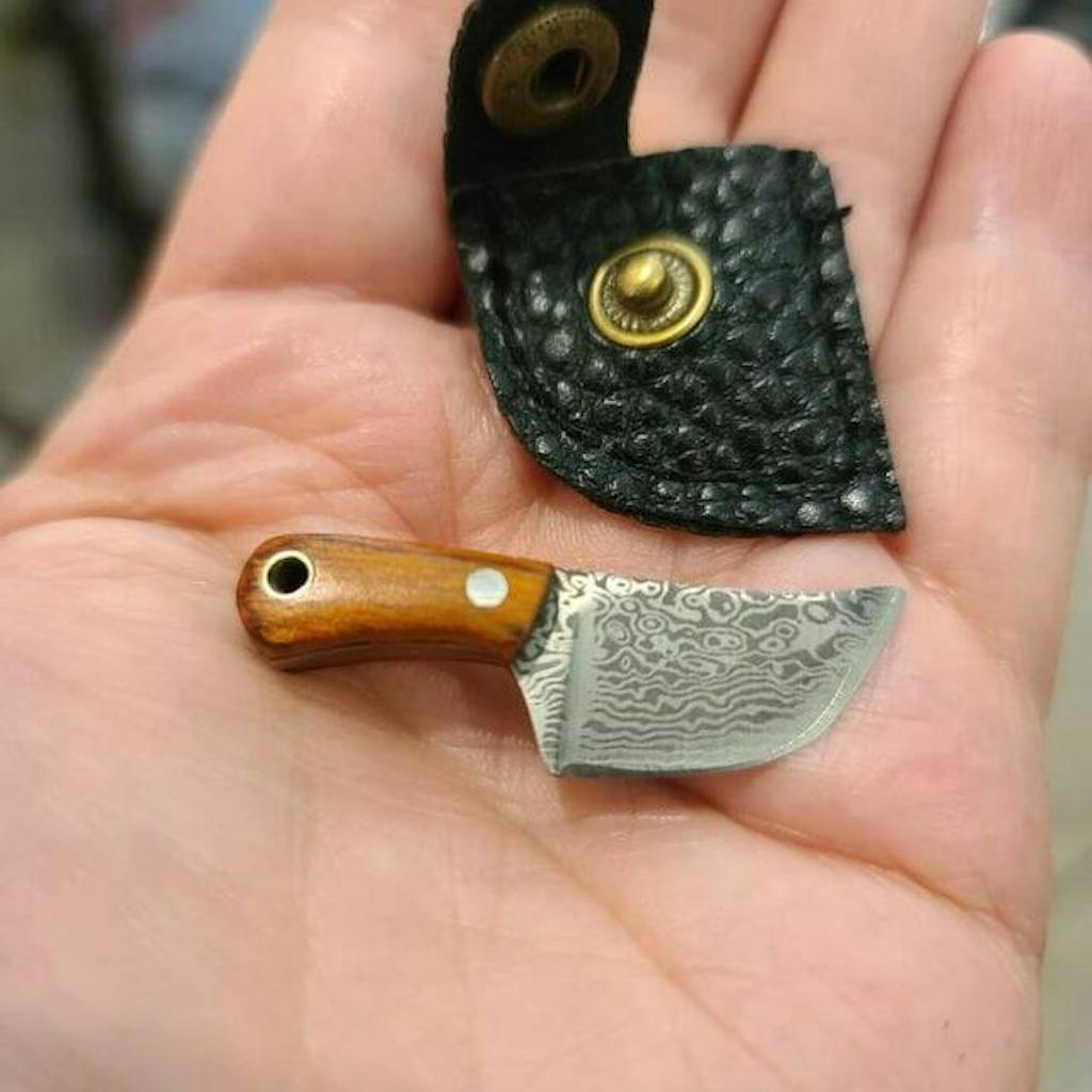 Mini Butcher Knife, Tiny Knife - Oddities For Sale has unique
