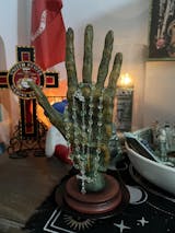 Alchemy Palmistry Hand, Alchemy Hand, Mummy Palmistry - Oddities For ...