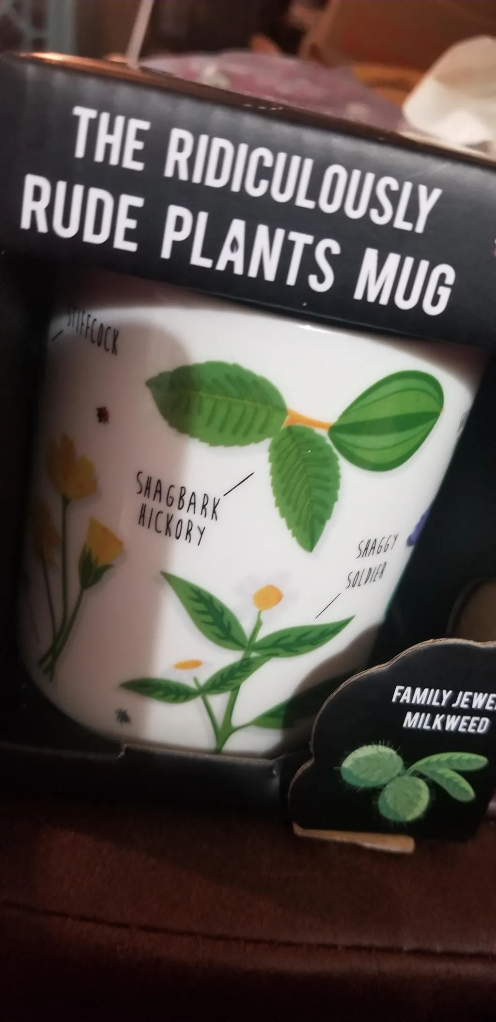 The Ridiculously Rude Plants Mug – Off the Wagon Shop