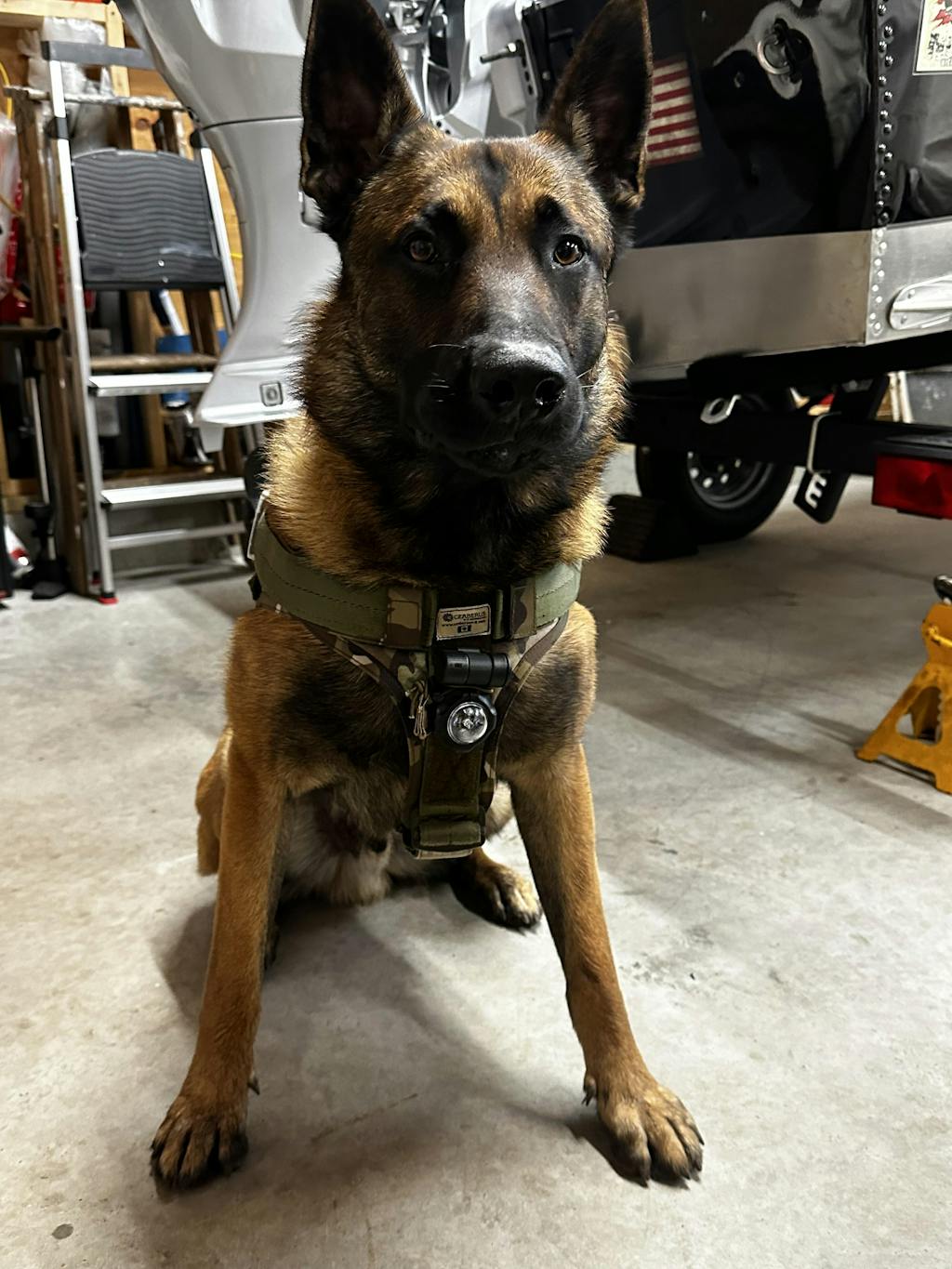 Adventure Lights VIP Infrared Signal Strobe Light - GEN4 Mockingbird M ...