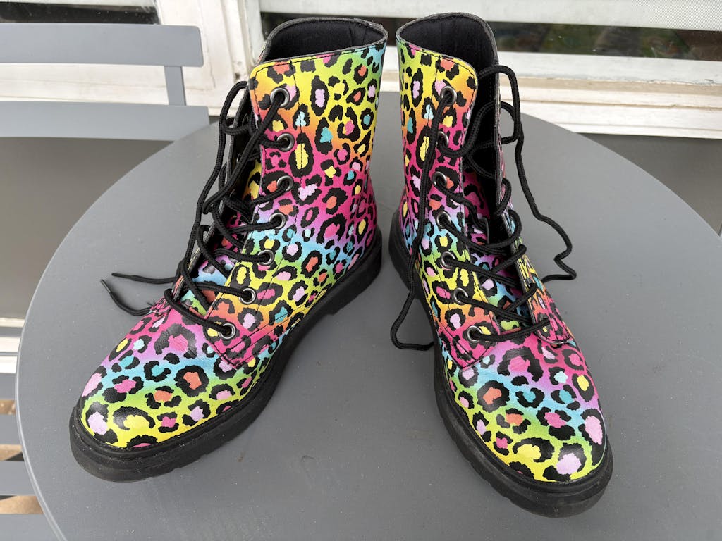 Dinosaur Friends Boots – Offbeat Sweetie