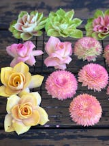 Sola Flowers - Set of 12 | Oh You're Lovely