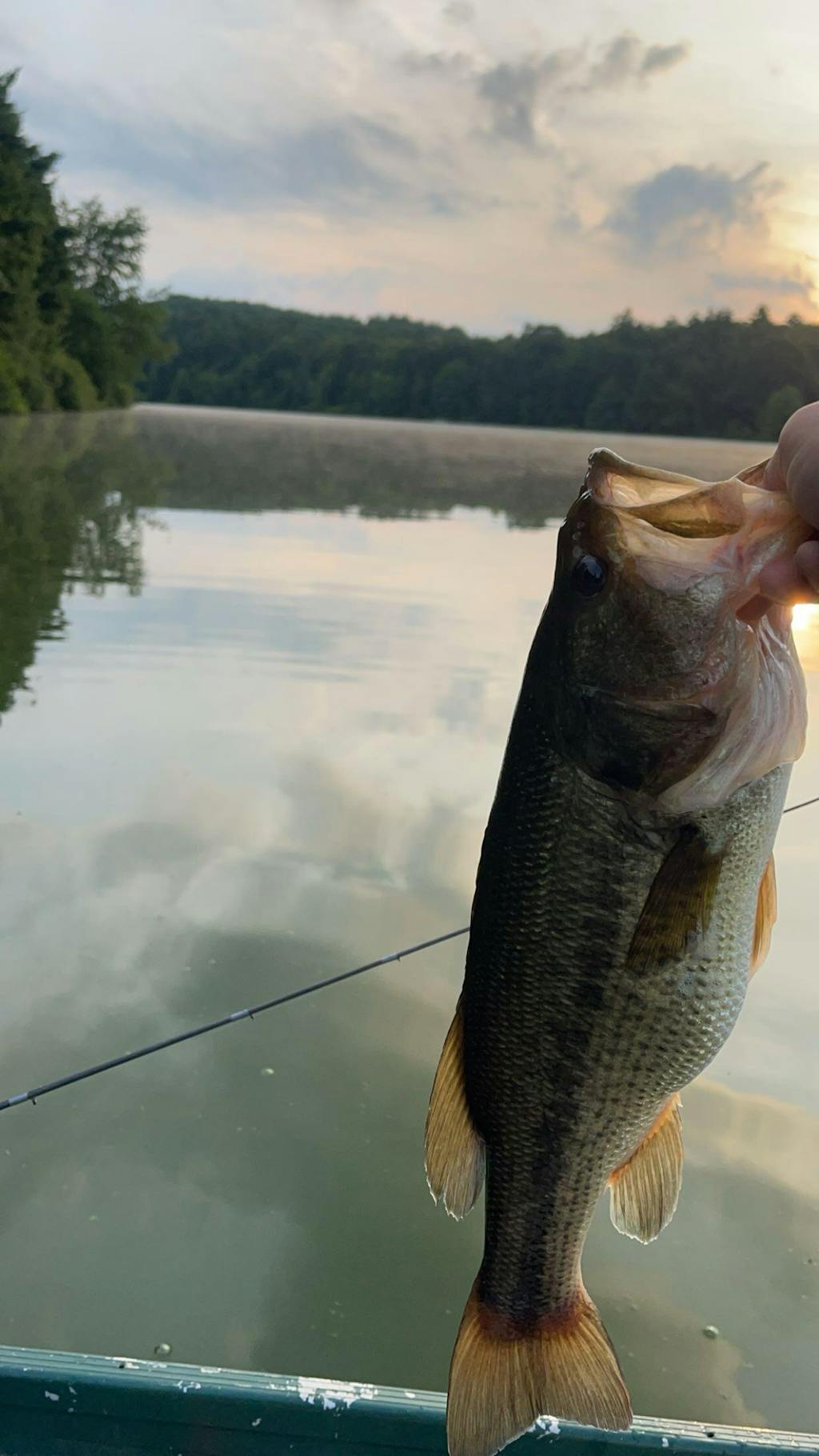 Old18 Fishing Rods – Old 18