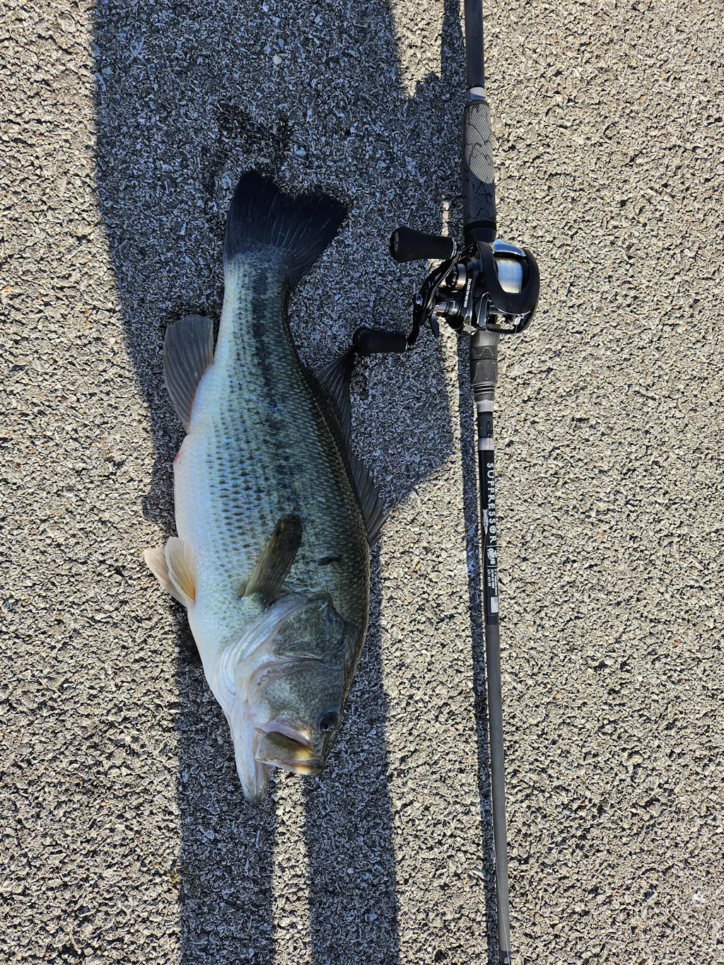 Old18 Fishing Rods – Old 18