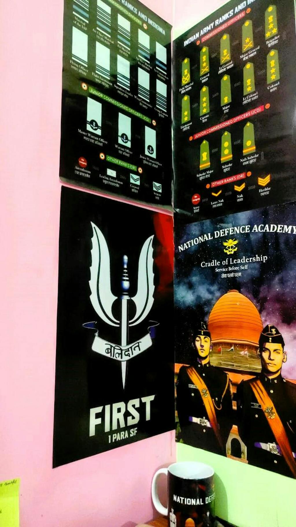 Indian Air Force Ranks & Insignia Chart Poster