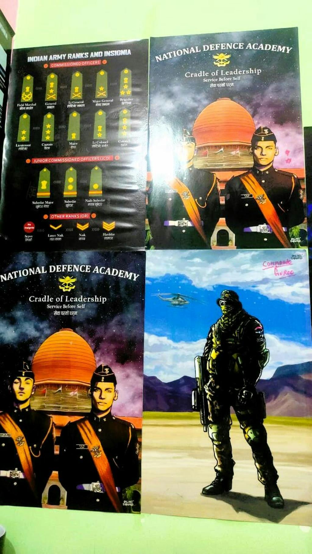 Indian Air Force Ranks & Insignia Chart Poster