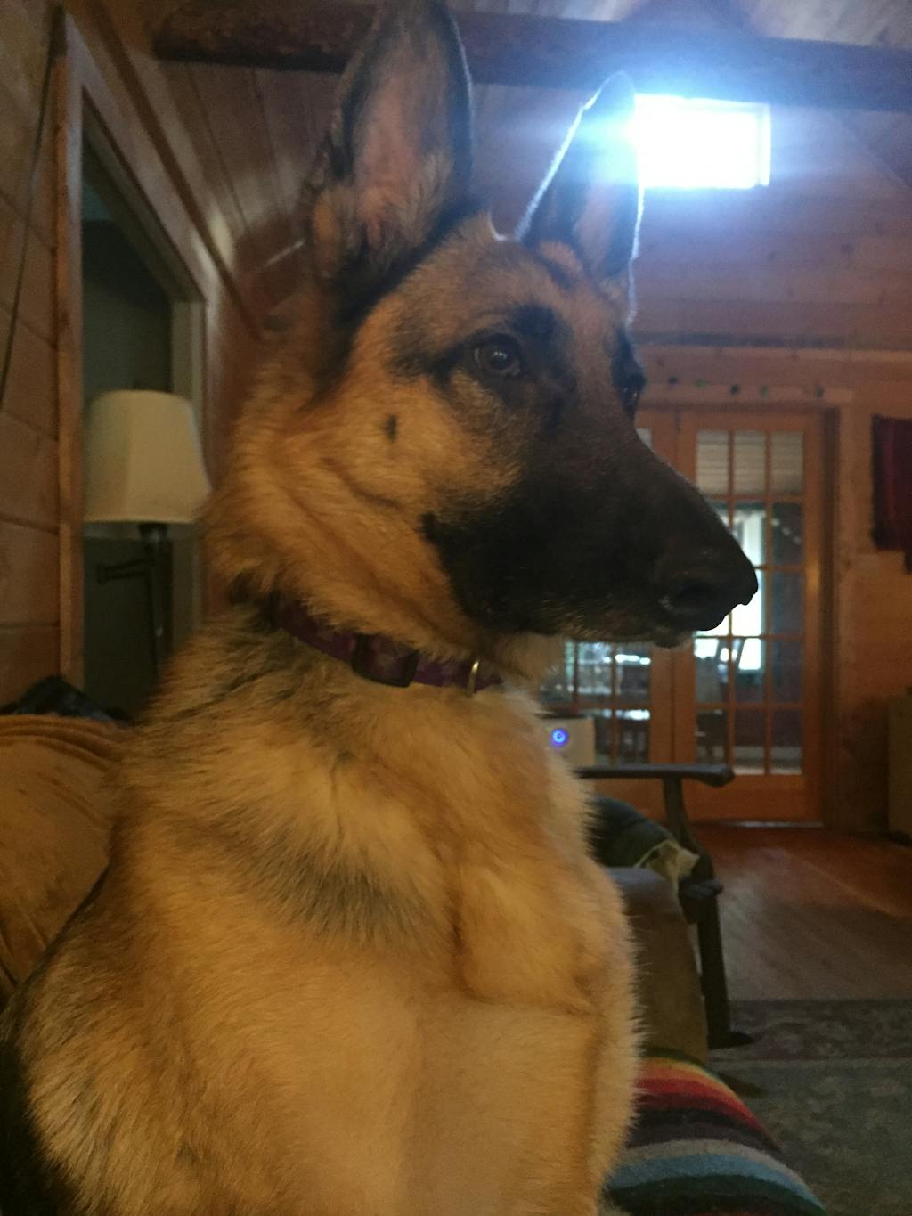 Ultra Concentrated Omega-3 – OmegaVia