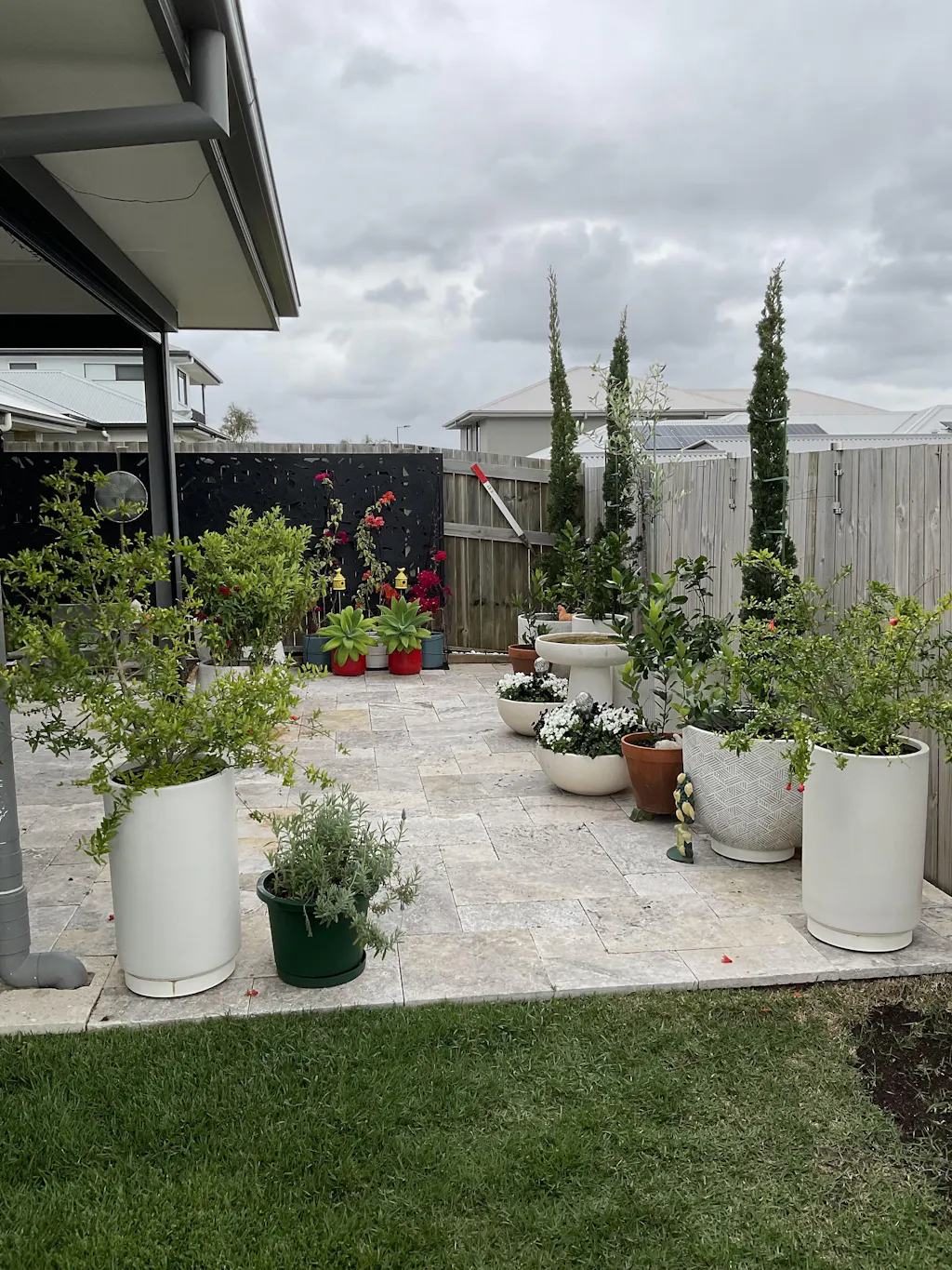Best Heavy Duty Plant Caddy | See Our Reviews | Omnia Plant Glider ...
