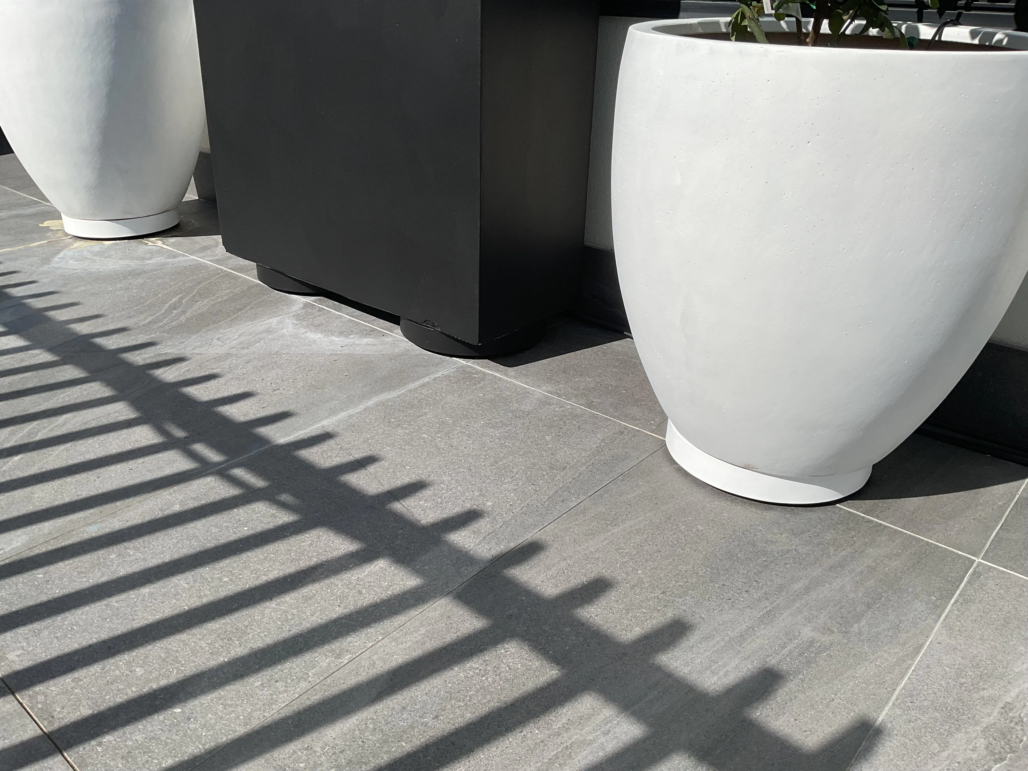 Best Heavy Duty Plant Caddy | See Our Reviews | Omnia Plant Glider ...