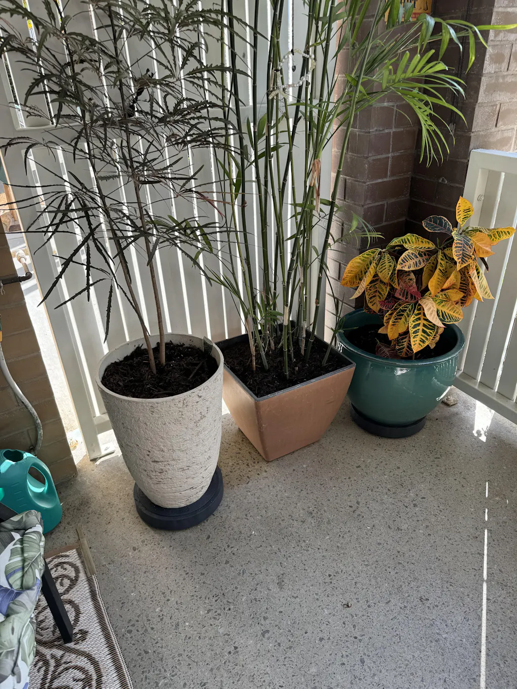 Omnia Plant Glider | Omnia Plant Glider | Plant Trolley Caddy Dolly ...