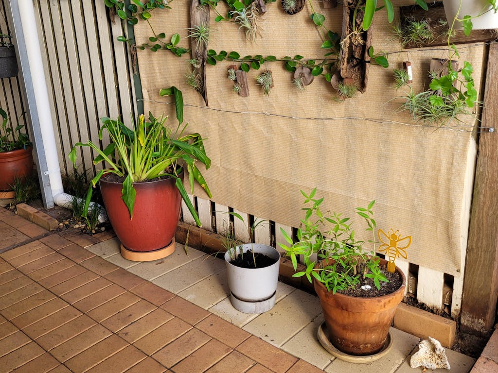 Omnia Plant Glider | Omnia Plant Glider | Plant Trolley Caddy Dolly ...