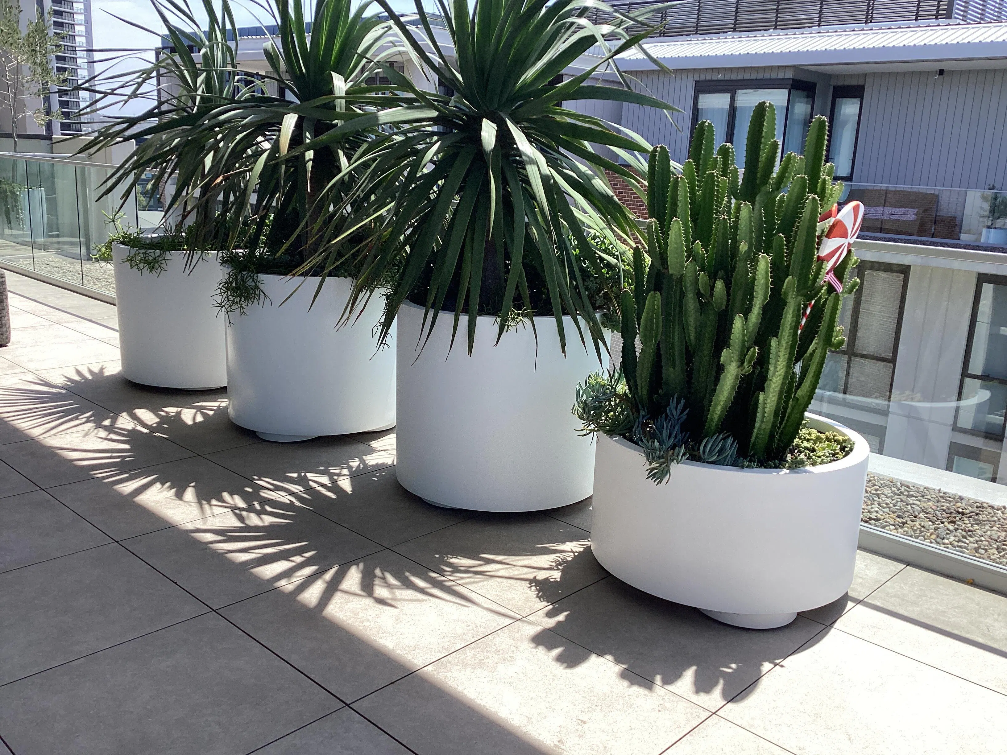 Plant Glider Reviews | The Heavy Duty Plant Caddy | Omnia Plant Glider ...