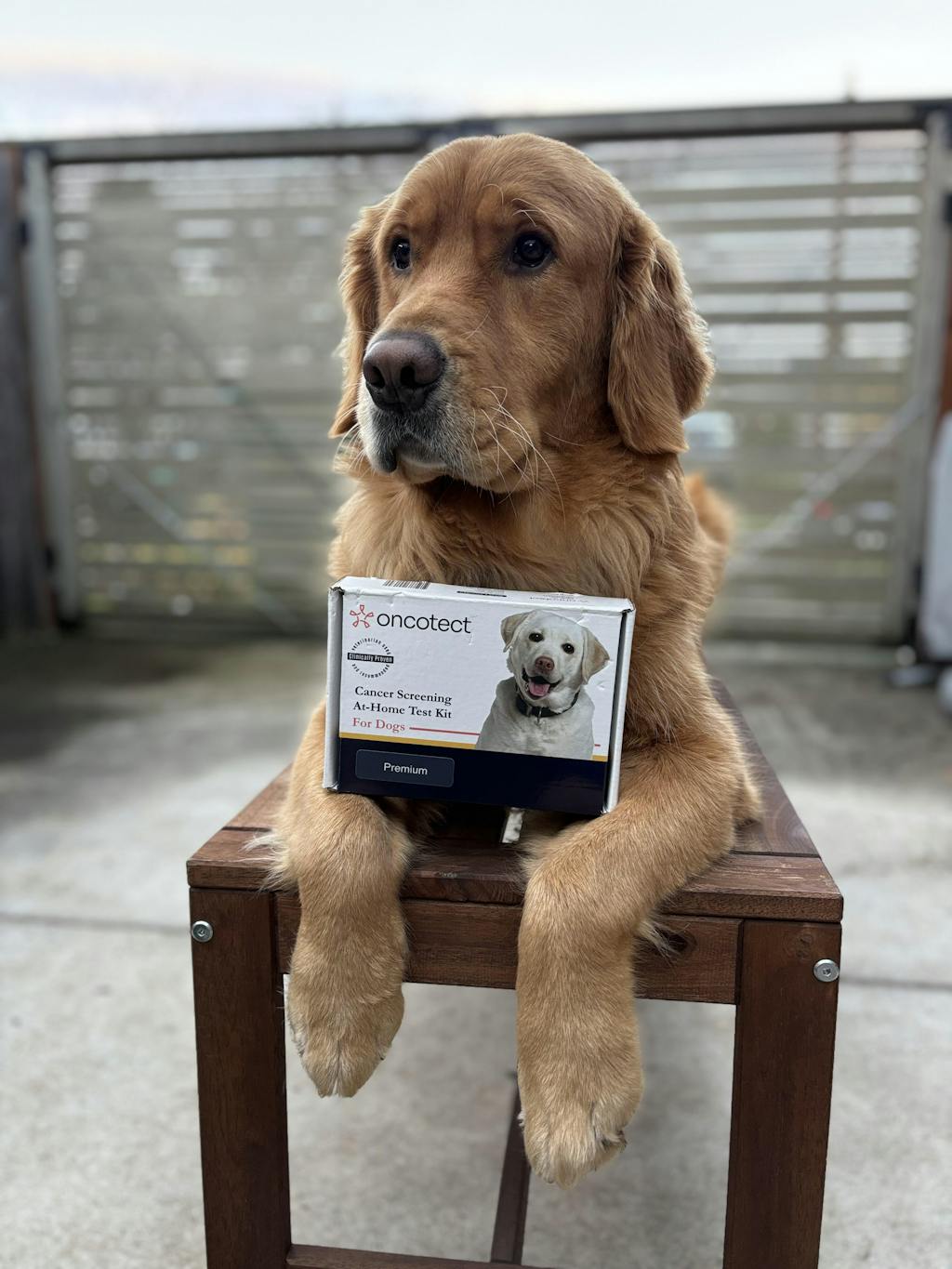 Oncotect | The World's First At-home Cancer Screening Test for Dogs