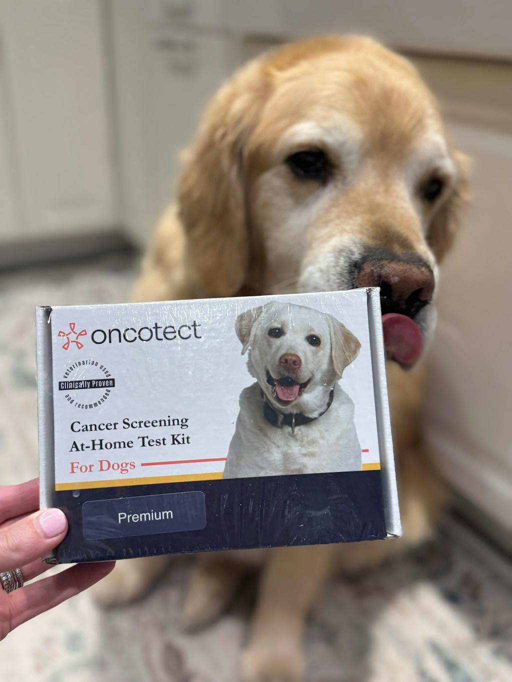 Oncotect | The World's First At-home Cancer Screening Test for Dogs