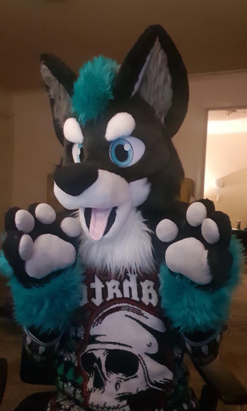 One-of-a-kind fursuits Oneandonlycostumes – oneandonlycostumes