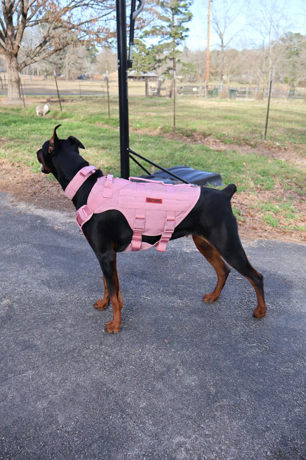 OneTigris AIRE Mesh Dog Harness | Lightweight & Cool Tactical Vest ...