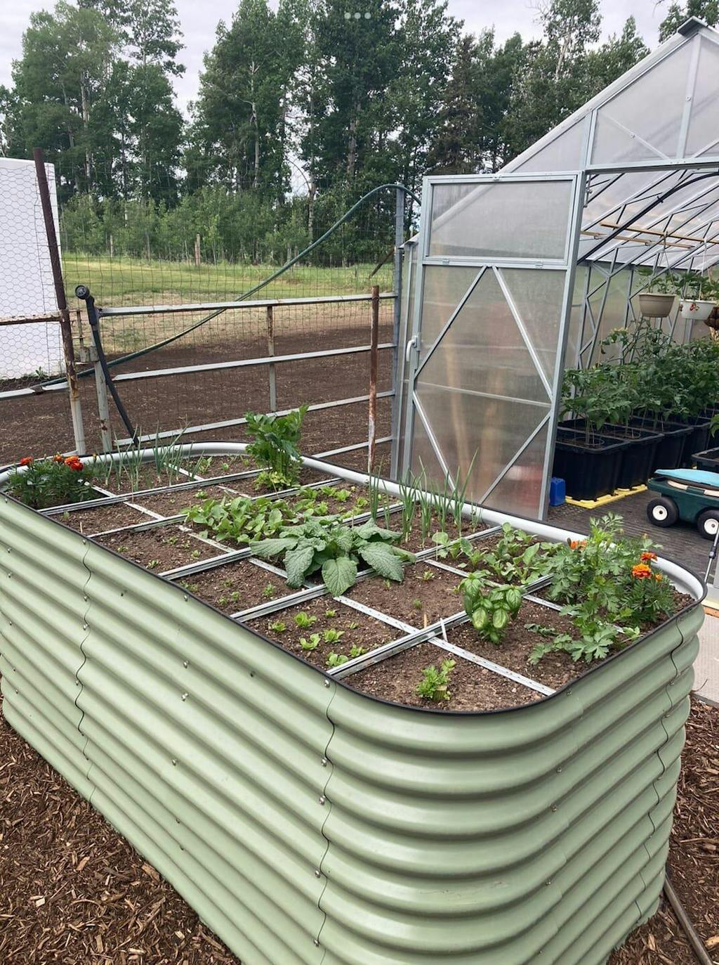 La protezione per la tua pianta firmato Opplant™